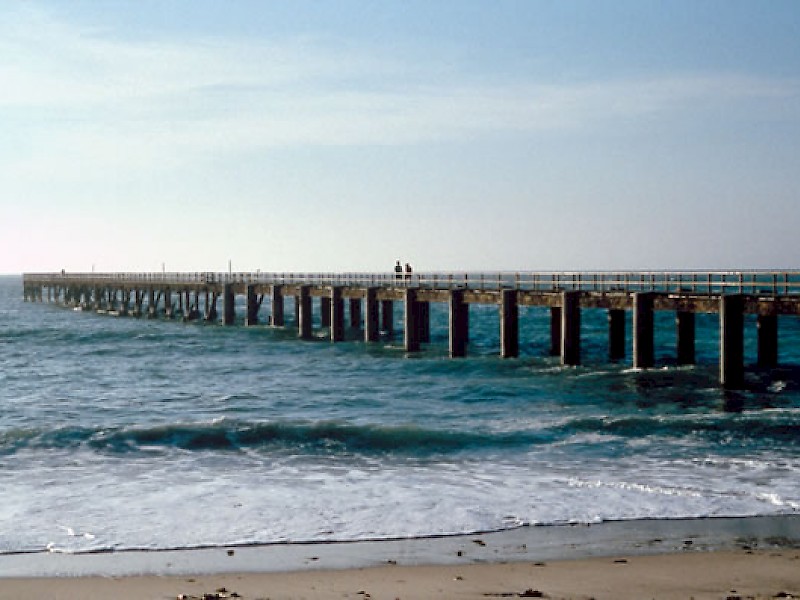 Jetty Pile Protection Solutions