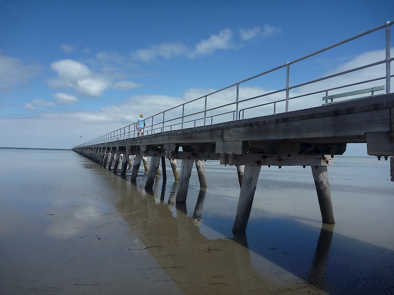 Jetty Pile Protection Solutions