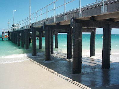 SeaShield